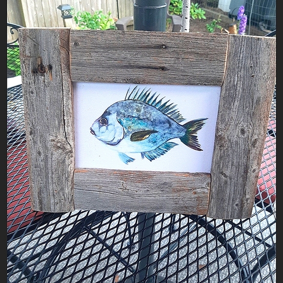 Wall Decor | Rustic Framed Fish Picture Wall Art | Poshmark